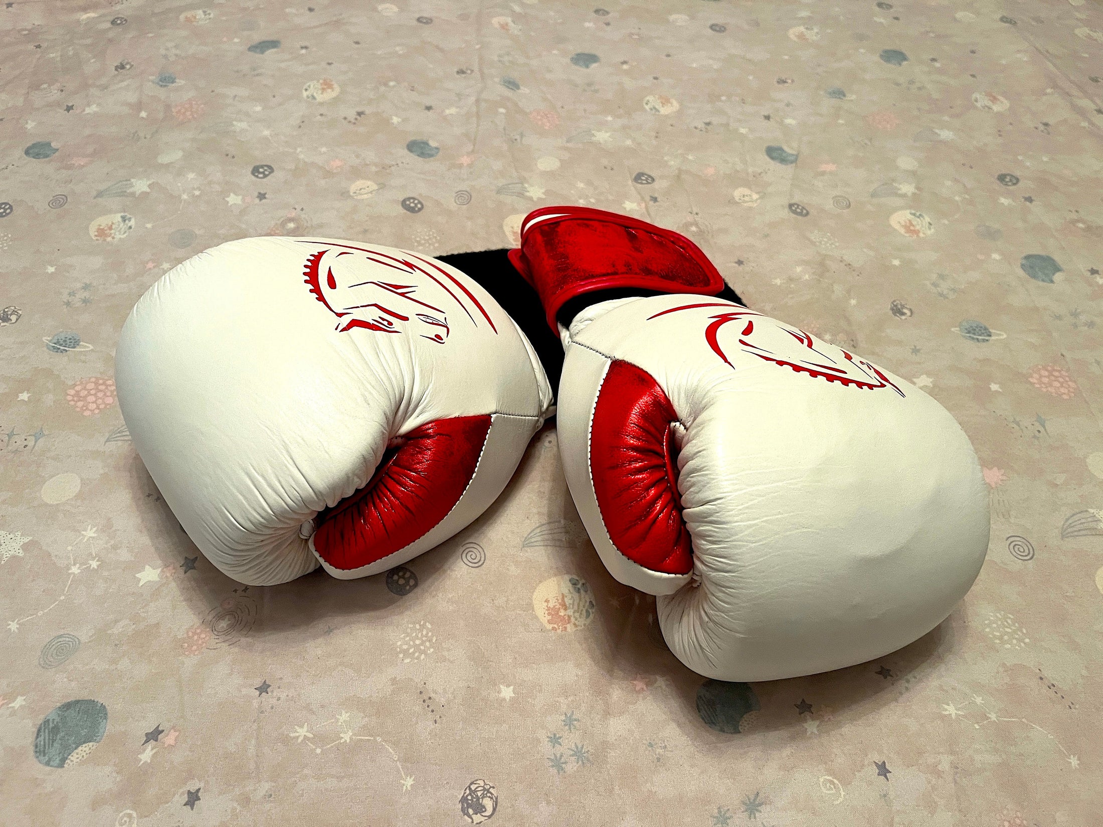 FIGHT CAMP UPDATE! 🥊 5/2/26 – Marcus Hayes